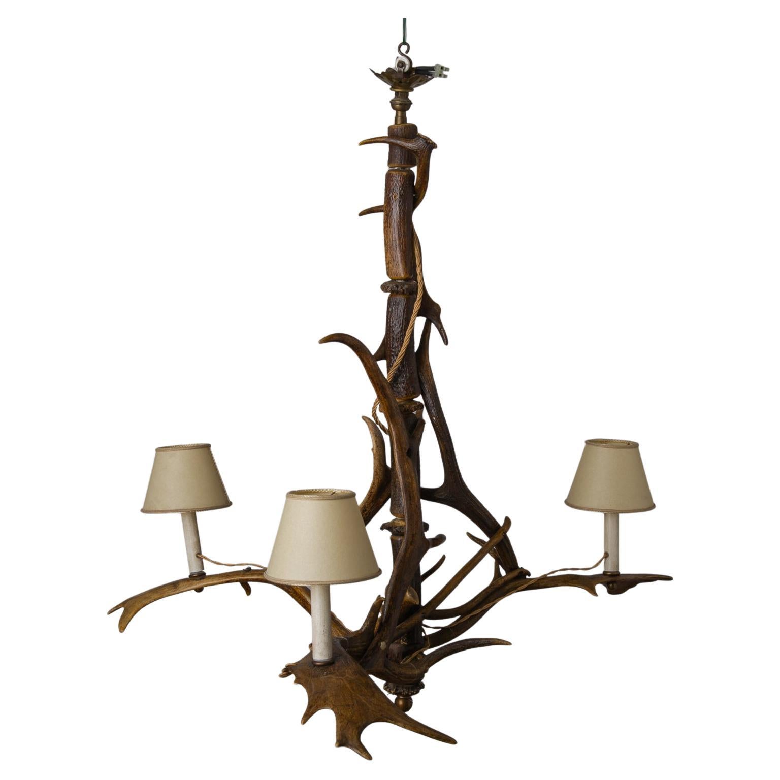 Rustic Antler Lamp with Deer Antlers For Sale at 1stDibs