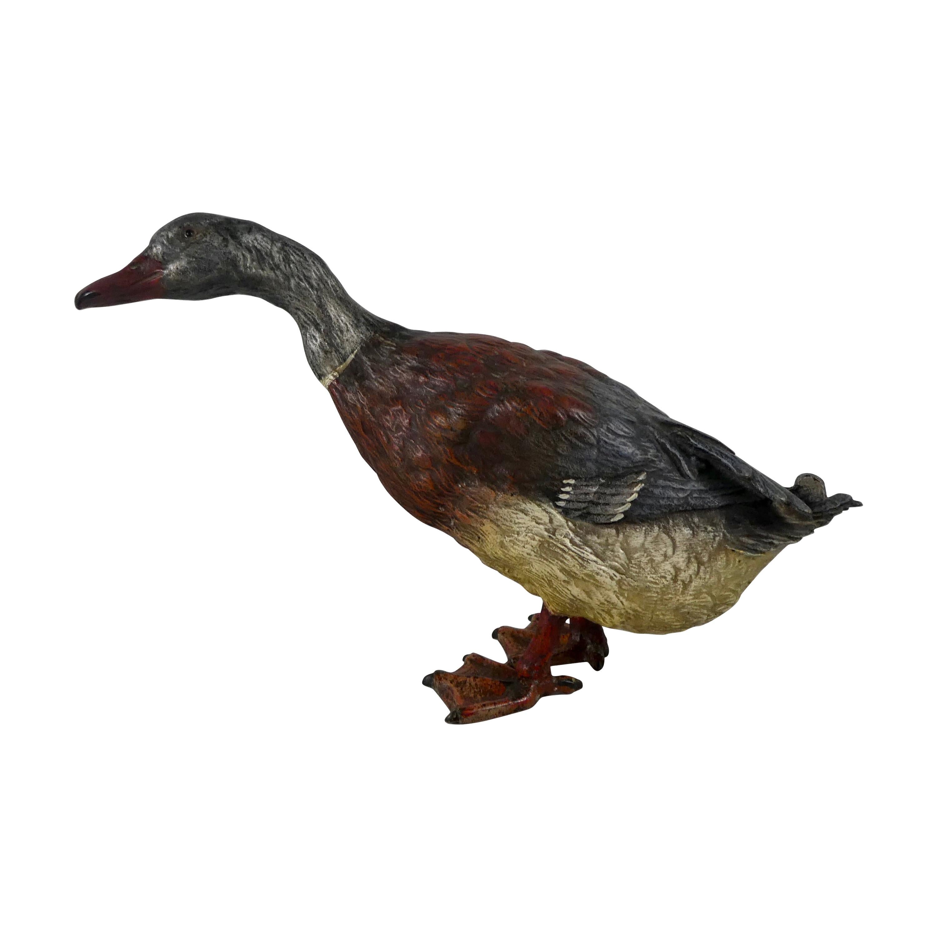 Austrian Cold Painted Bronze Duck, circa 1910 at 1stDibs