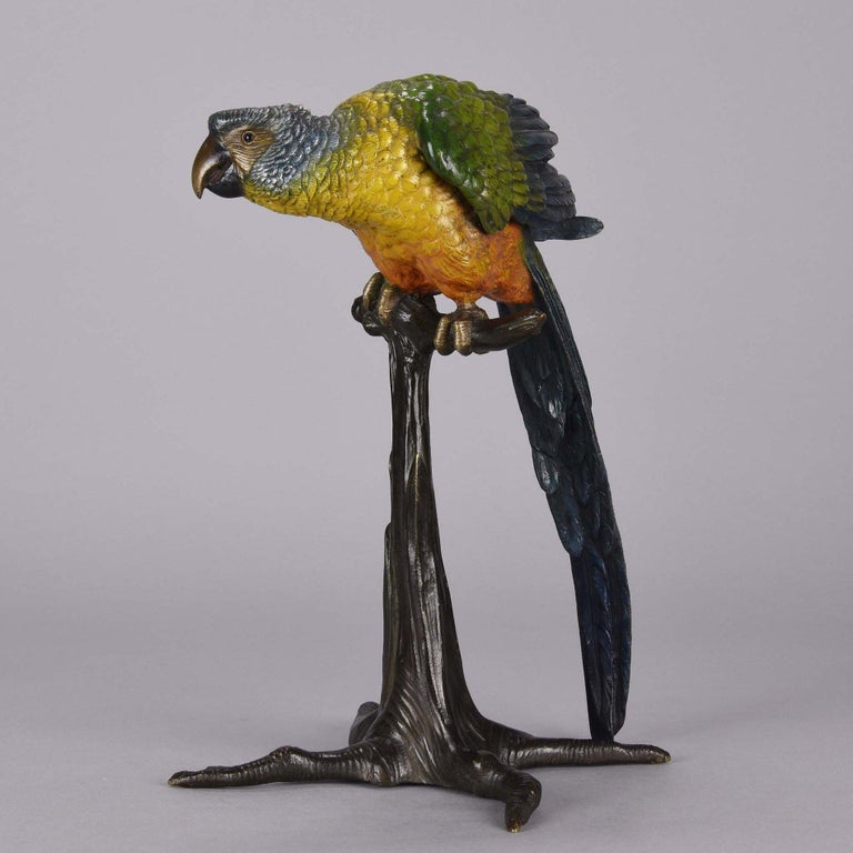 Austrian Cold Painted Bronze Figure "Parrot on a Branch" by Franz ...