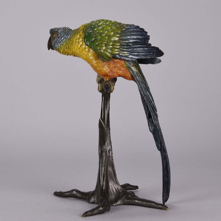 Austrian Cold Painted Bronze Figure "Parrot on a Branch" by Franz ...