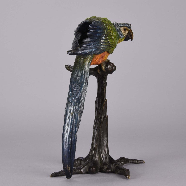 Austrian Cold Painted Bronze Figure "Parrot on a Branch" by Franz ...
