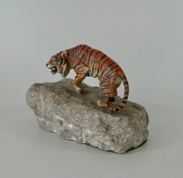 Austrian Cold Painted Bronze Tiger, circa 1900 at 1stDibs