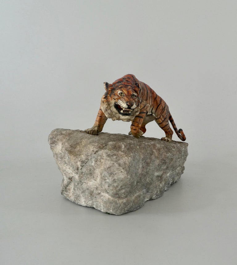 Austrian Cold Painted Bronze Tiger, circa 1900 at 1stDibs