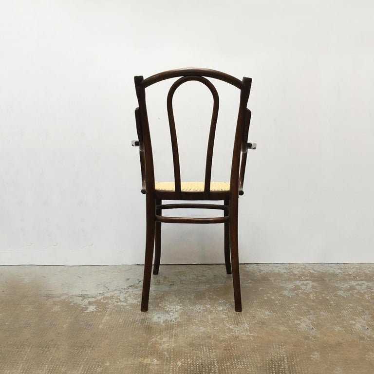 Austrian Early 20th Century Wood and Vienna Straw Chair by Thonet, 1900s For Sale at 1stDibs