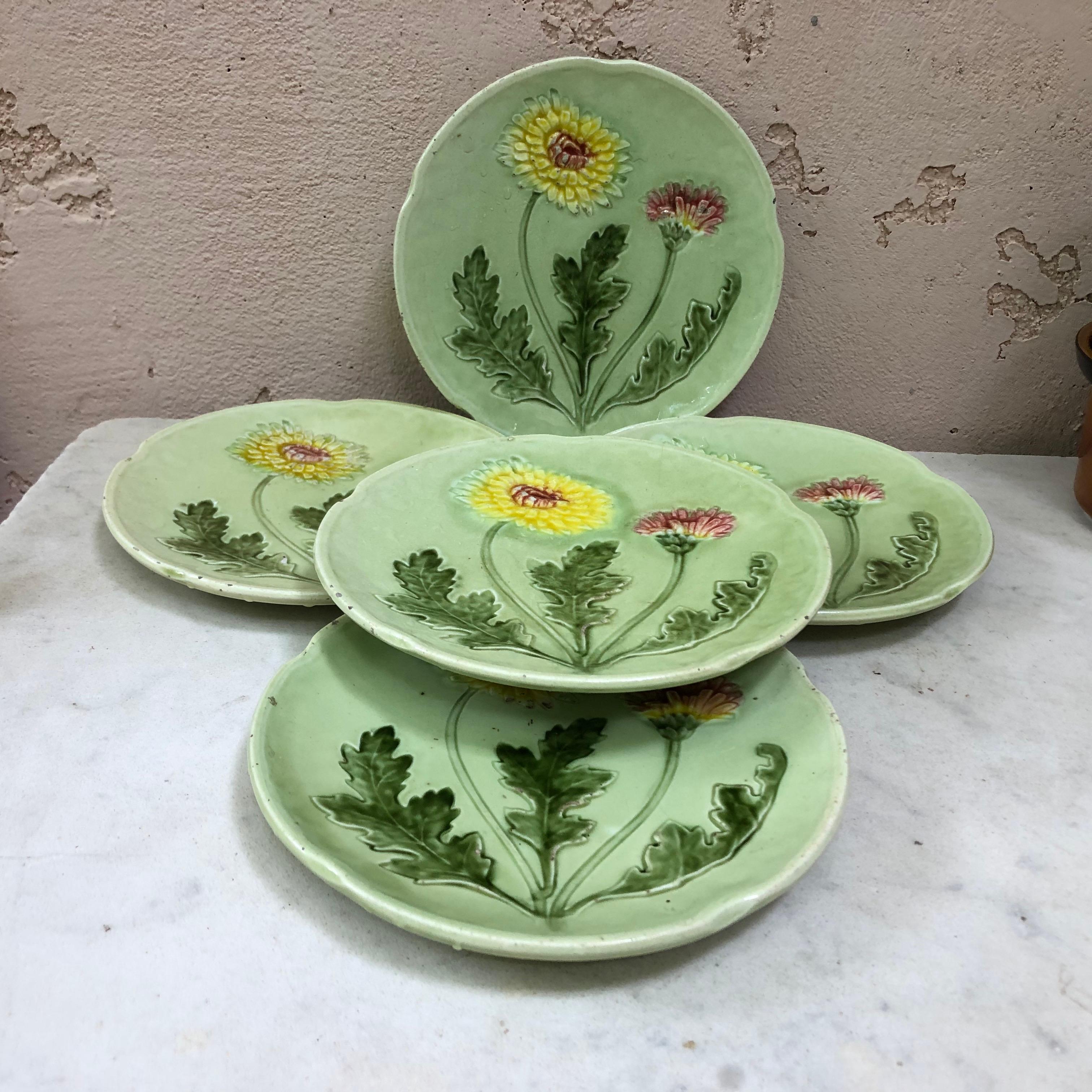 Austrian Majolica Plate Dandelion, circa 1890 at 1stDibs | austrian dandel