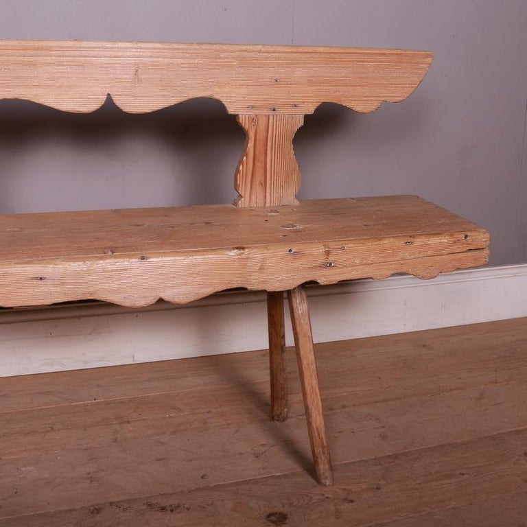 Austrian Scrubbed Pine Bench For Sale at 1stDibs