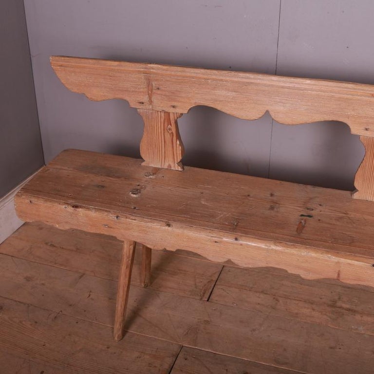 Austrian Scrubbed Pine Bench For Sale at 1stDibs