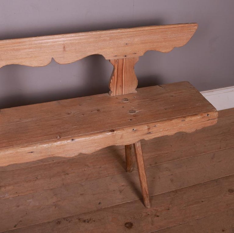 Austrian Scrubbed Pine Bench For Sale at 1stDibs