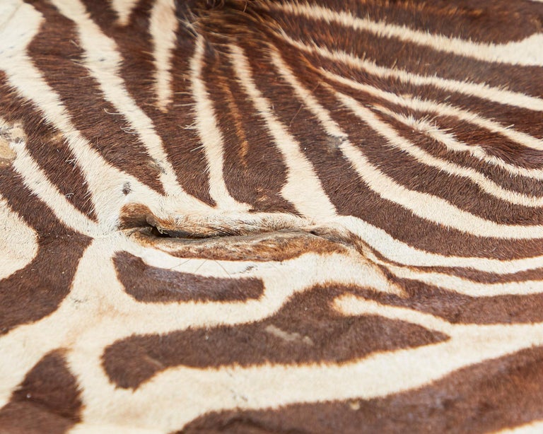 Authentic African Zebra Hide Carpet Rug at 1stDibs