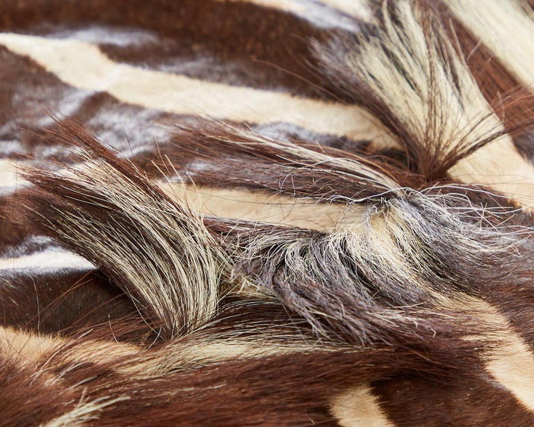 Authentic African Zebra Hide Carpet Rug at 1stDibs