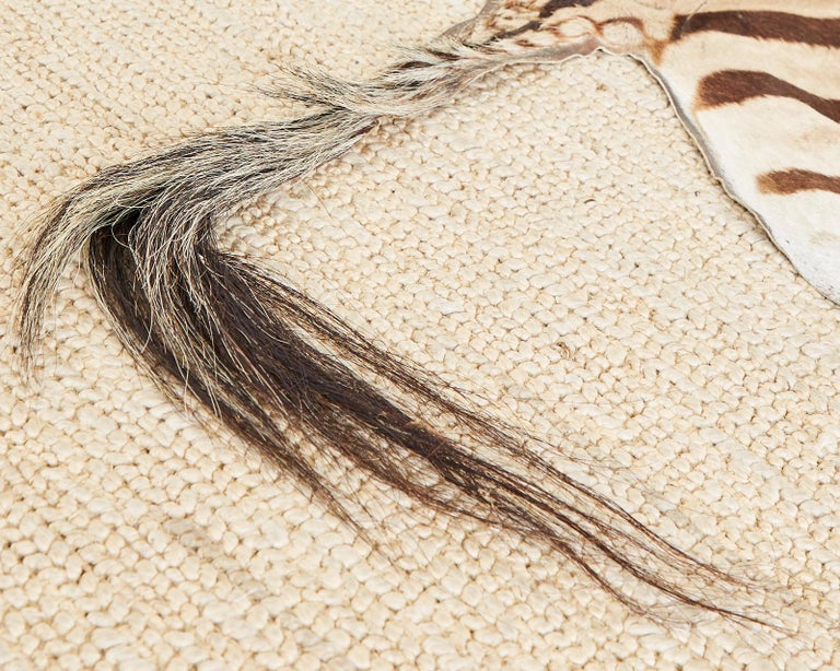 Authentic African Zebra Hide Carpet Rug at 1stDibs