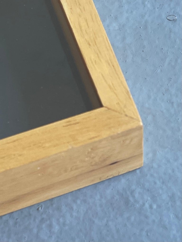 Authentic "Sanna Intermedia" Butterfly Taxidermy Sculpture at 1stDibs