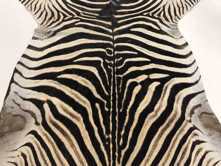 Authentic Zebra Hide Rug at 1stDibs