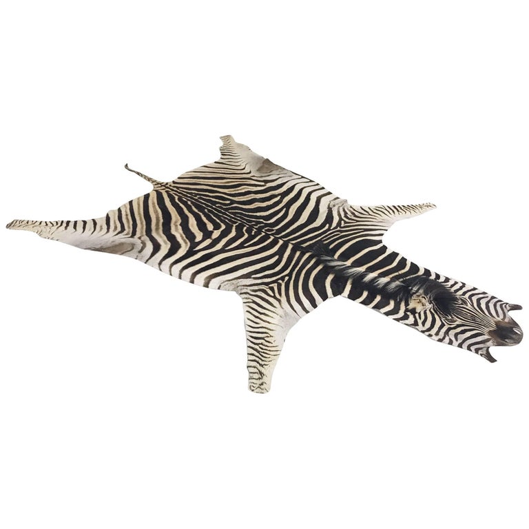 Authentic Zebra Hide Rug at 1stDibs