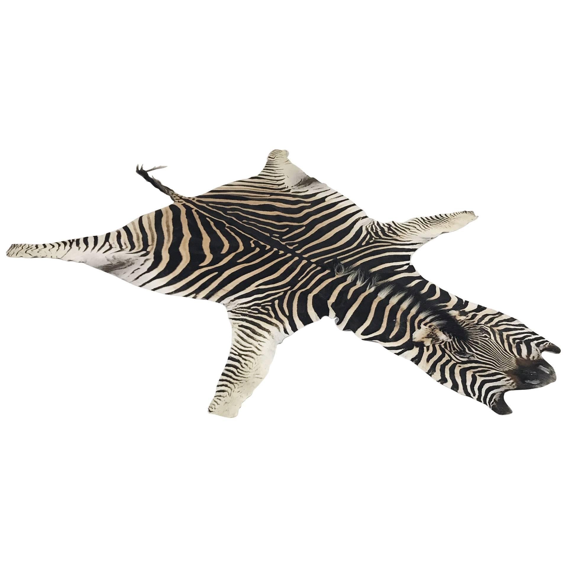 Authentic Zebra Hide Rug at 1stDibs