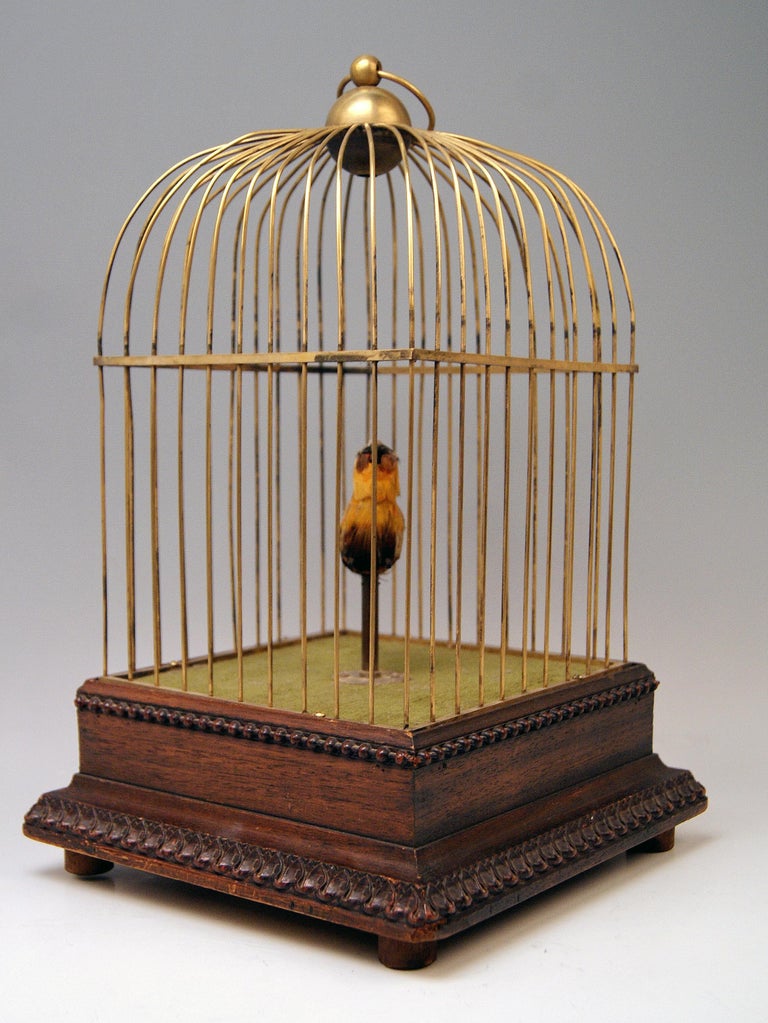 Automate of Singing Bird Songbird Brass Nut Wood Made in Germany, circa ...