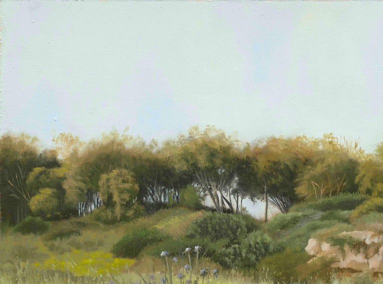 Ayelet Katz - Thistle - landscape painting For Sale at 1stDibs