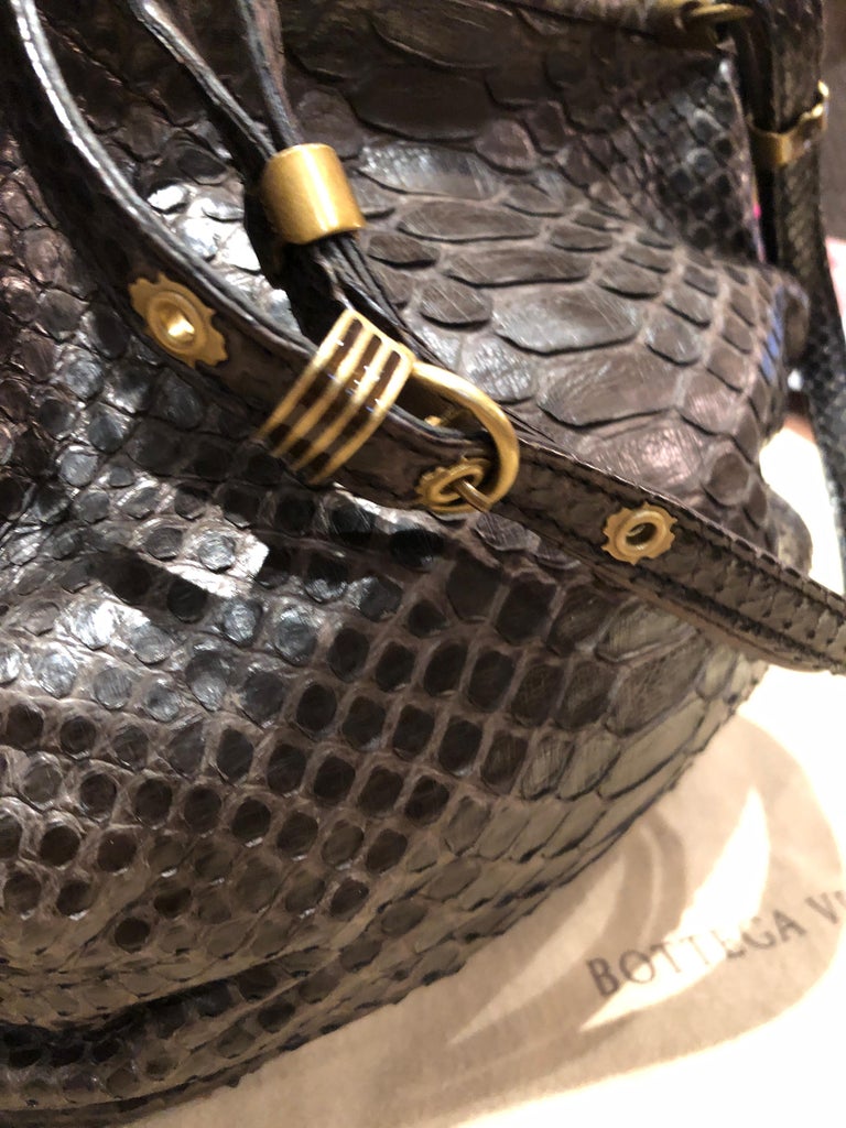 Ayers Bottega Veneta Kari Frame Baguette Snakeskin Hobo Bag Purse For ...