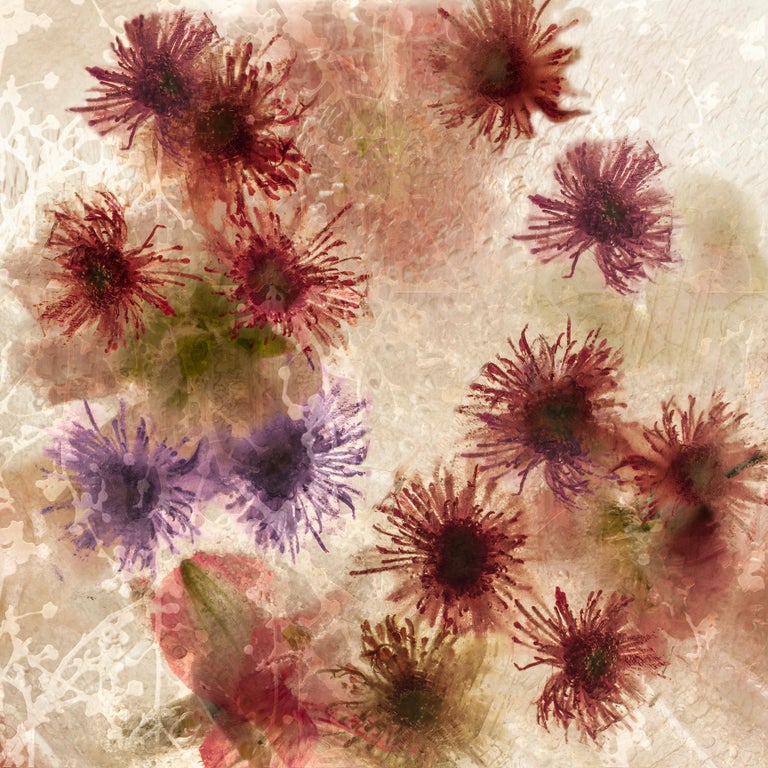 Aziz + Cucher - Fleurice M7 en vente sur 1stDibs