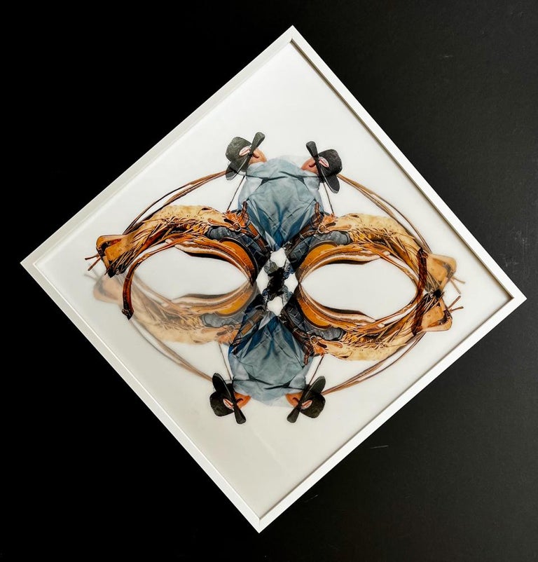 B Shawn Cox - All Cowboy, No Horse Western Contemporary Lenticular ...