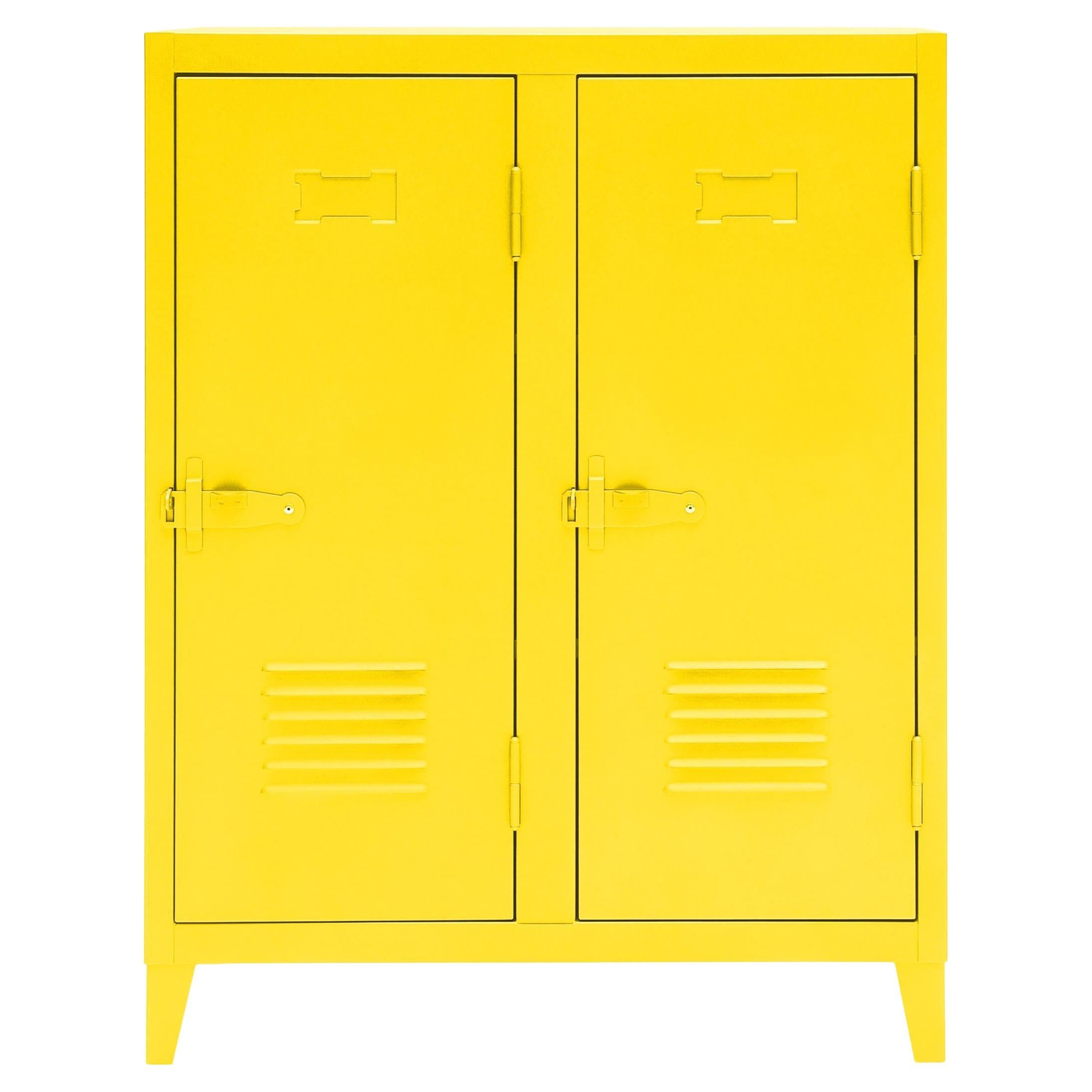B2 Low Locker in Essential Colors by Xavier Pauchard and Tolix For Sale ...