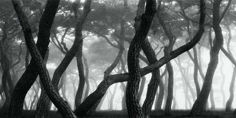 Bae Bien-u - SNM5A-045H – Bien-U BAE, Photography, Landscape, Nature ...