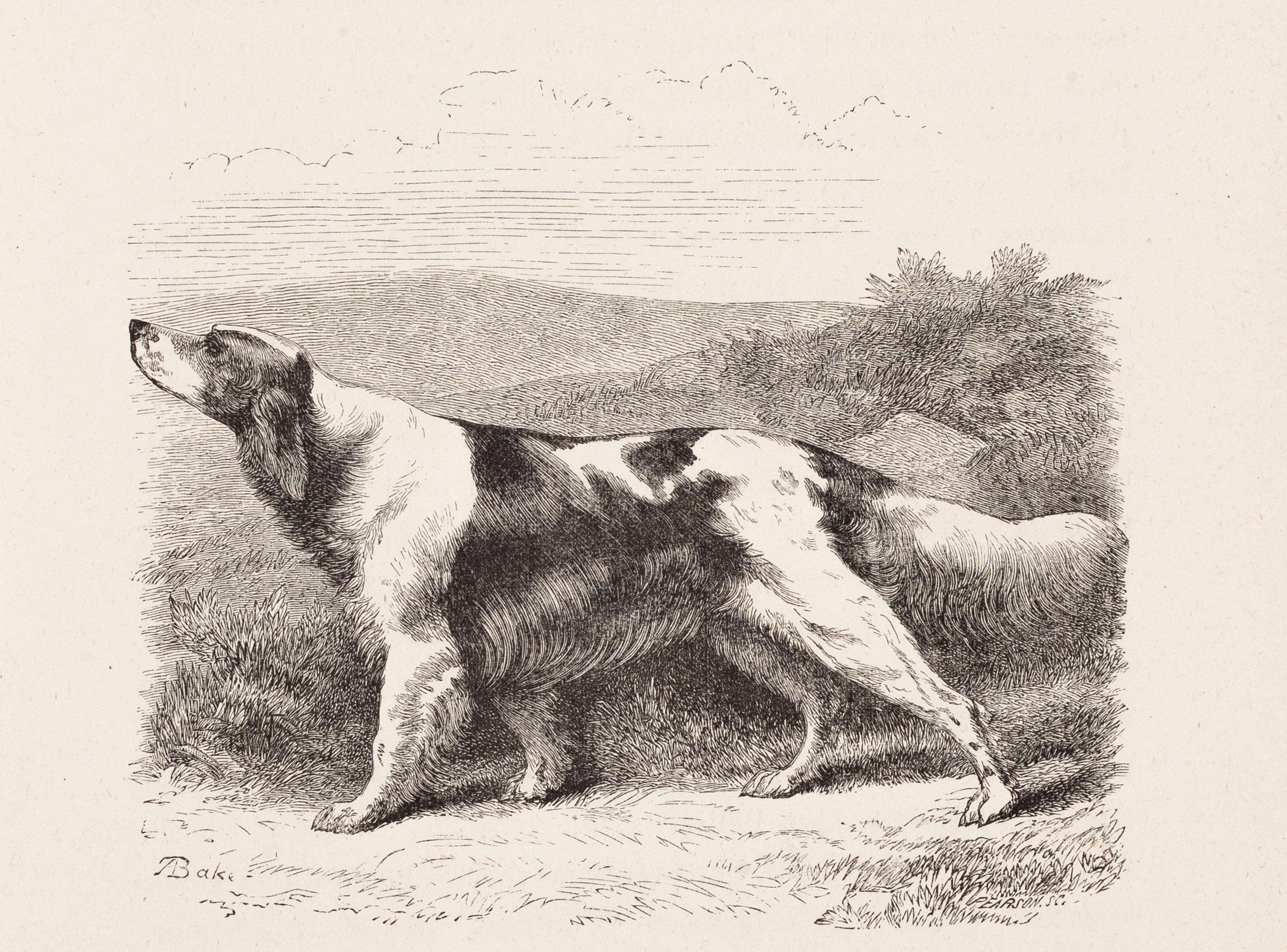 Salvador Dalí­ - Salvador Dali - Medusa - Original Handsigned Etching ...