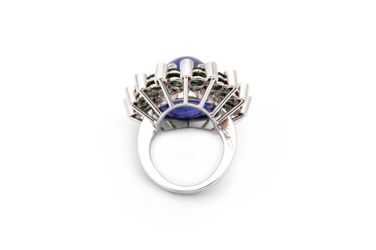 Ballerina Ring with 46.46 cts Tanzanite, Tsavorites and Diamonds For ...