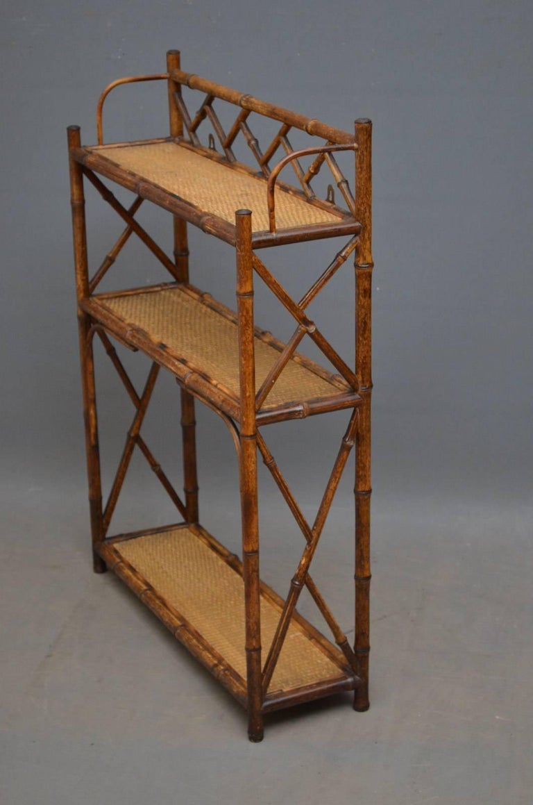 Bamboo Wall Shelves at 1stDibs