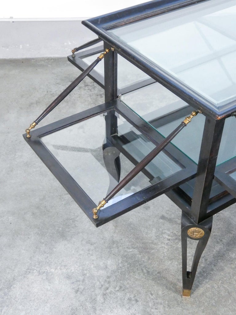 Bar Cabinet with Flap Doors and Removable Tray, Wood and Glass, Late ...