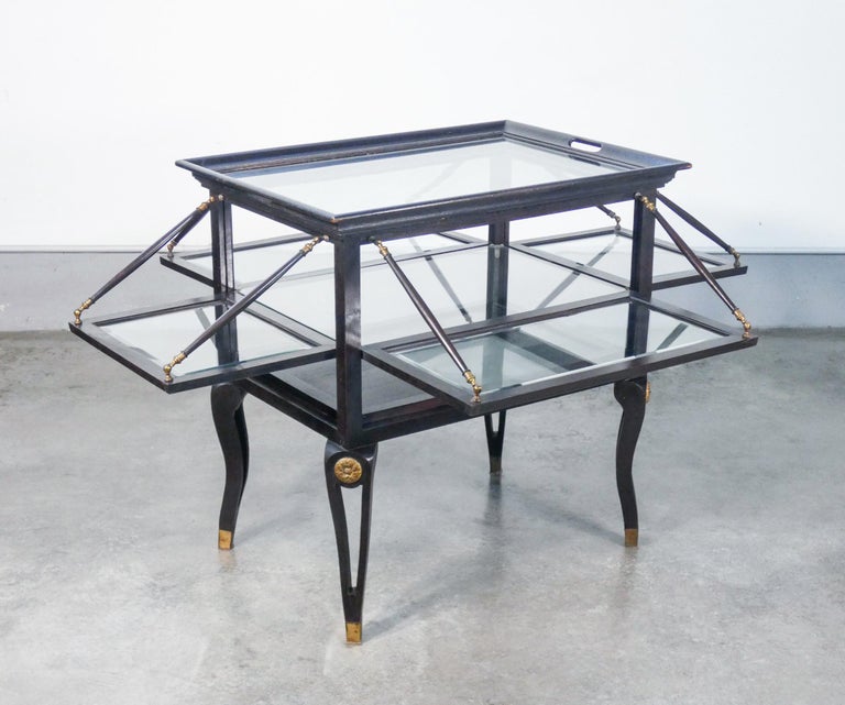 Bar Cabinet with Flap Doors and Removable Tray, Wood and Glass, Late ...