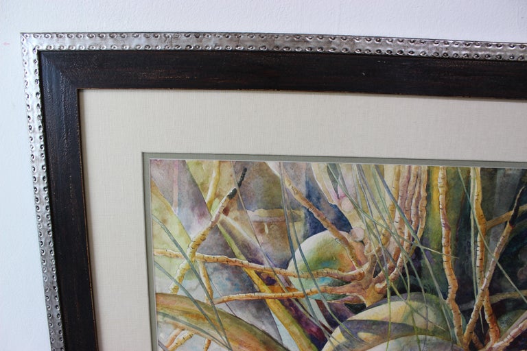 Barbara Shipman Watercolor Painting "Lots of Coconuts" For Sale at 1stDibs