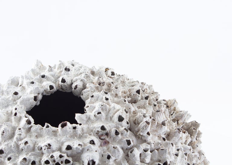 Barnacle Vase at 1stDibs