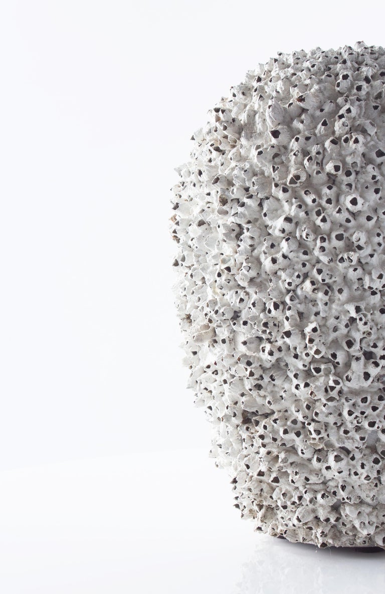 Barnacle Vase at 1stDibs