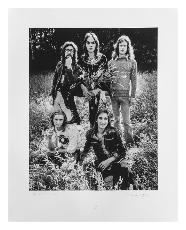 Barrie Wentzell – Genesis im Angebot bei 1stDibs
