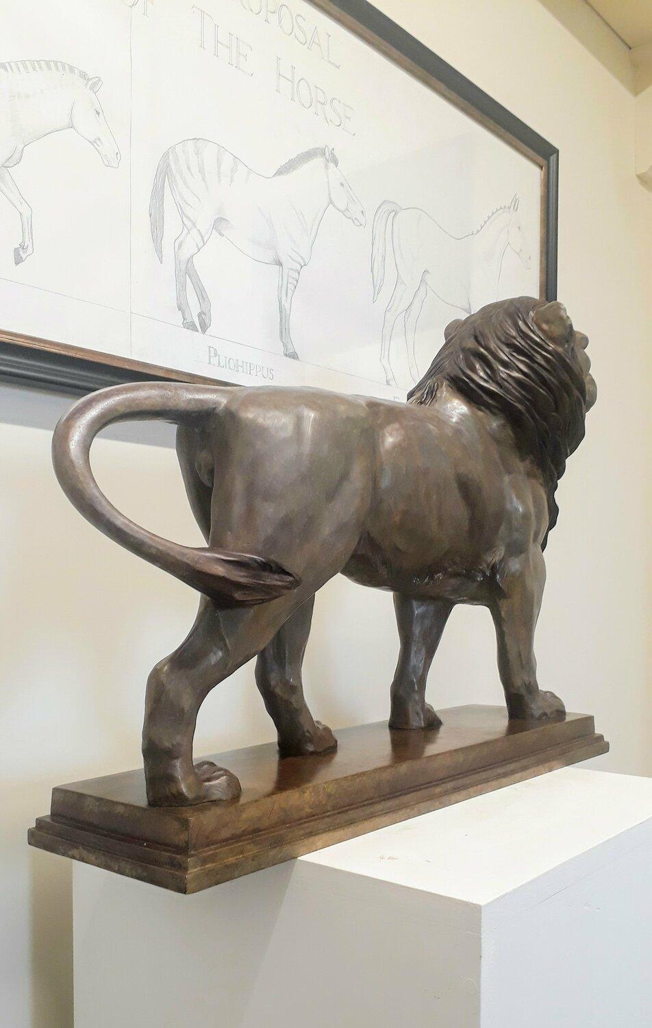 Barry Davies - Anatomical study of a lion For Sale at 1stDibs