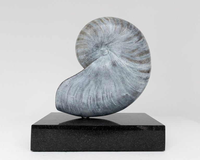 Barry Davies - Nautilus For Sale at 1stDibs