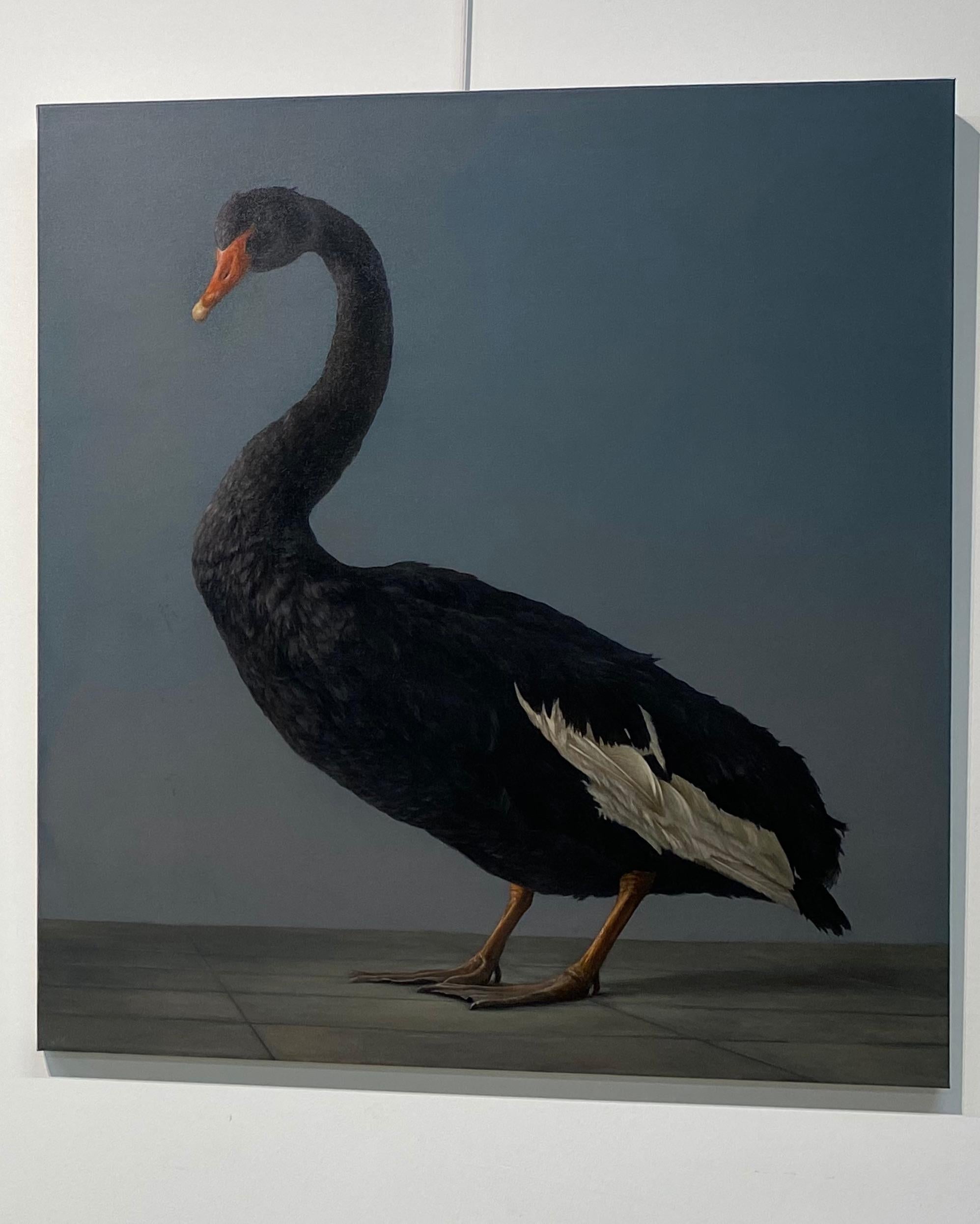 Bart Koning - Black Swan- 21st Century Hyper Realistic painting of a ...