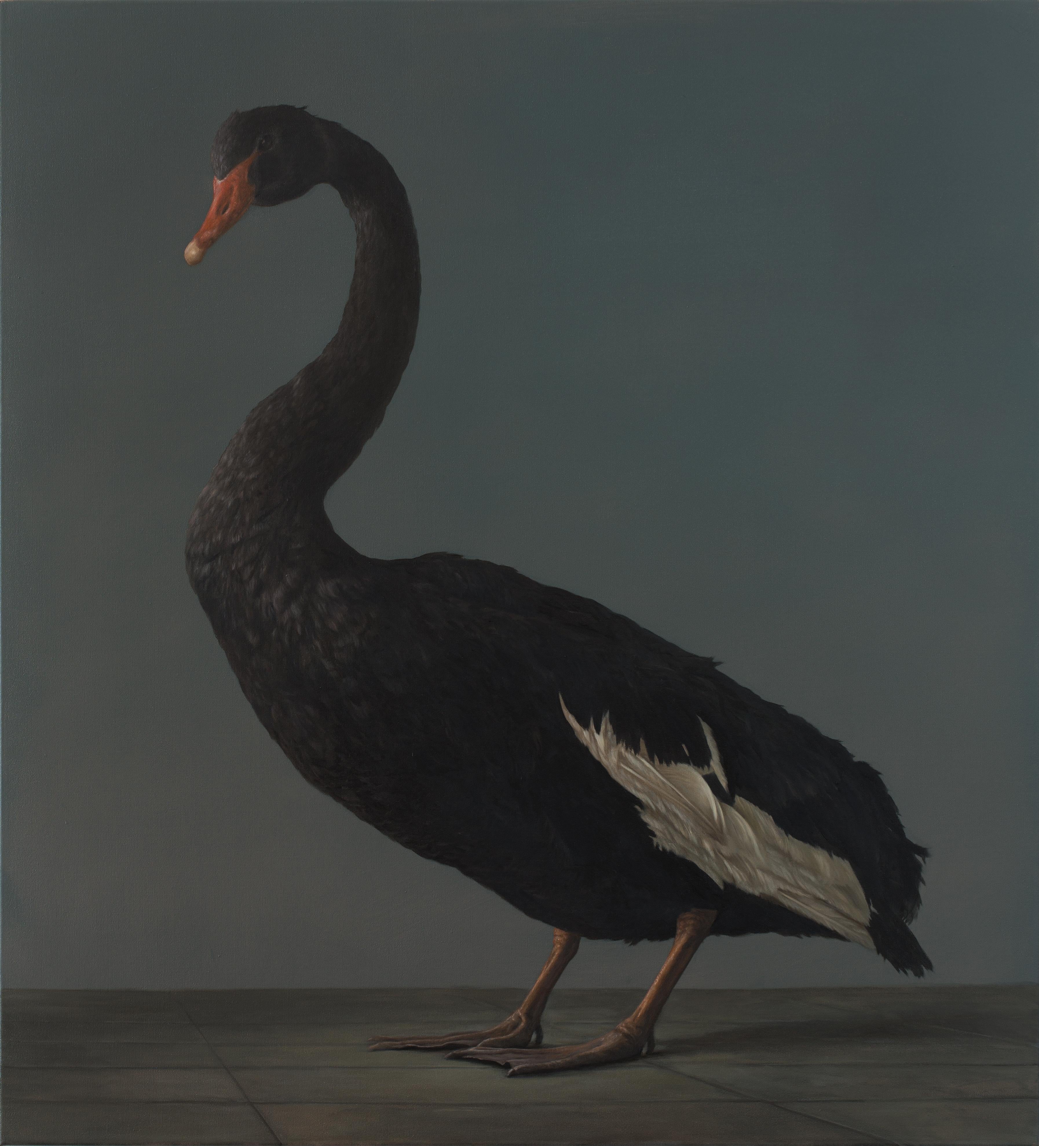 Bart Koning - Black Swan- 21st Century Hyper Realistic painting of a ...
