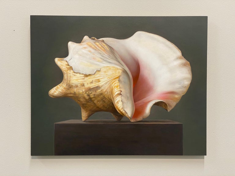 Bart Koning - Shell (2) - 21st Century Hyper Realistic Still-life ...