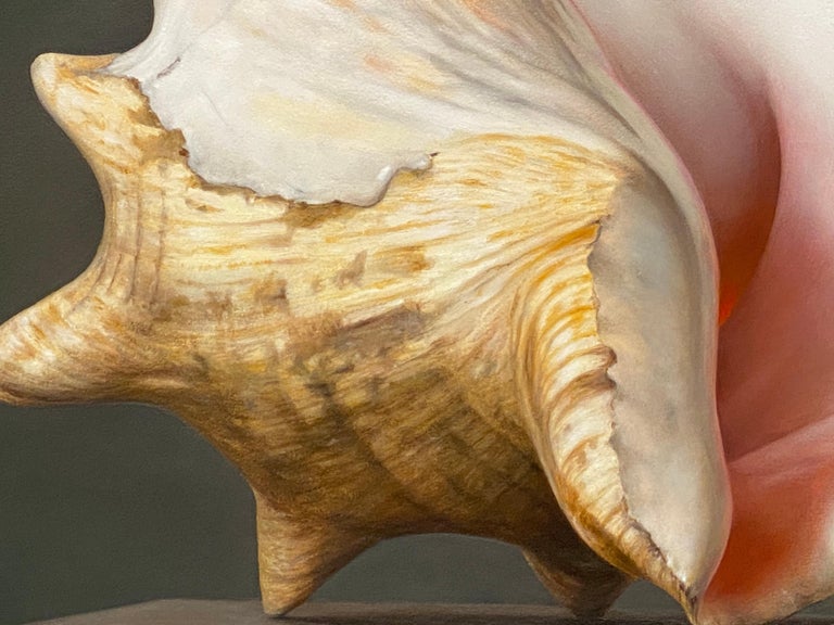 Bart Koning - Shell (2) - 21st Century Hyper Realistic Still-life ...