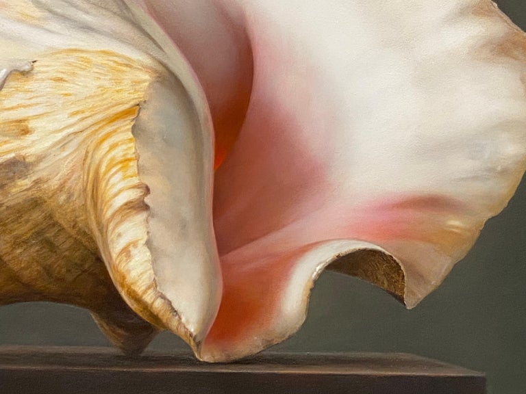 Bart Koning - Shell (2) - 21st Century Hyper Realistic Still-life painting of a Shell at 1stDibs ...