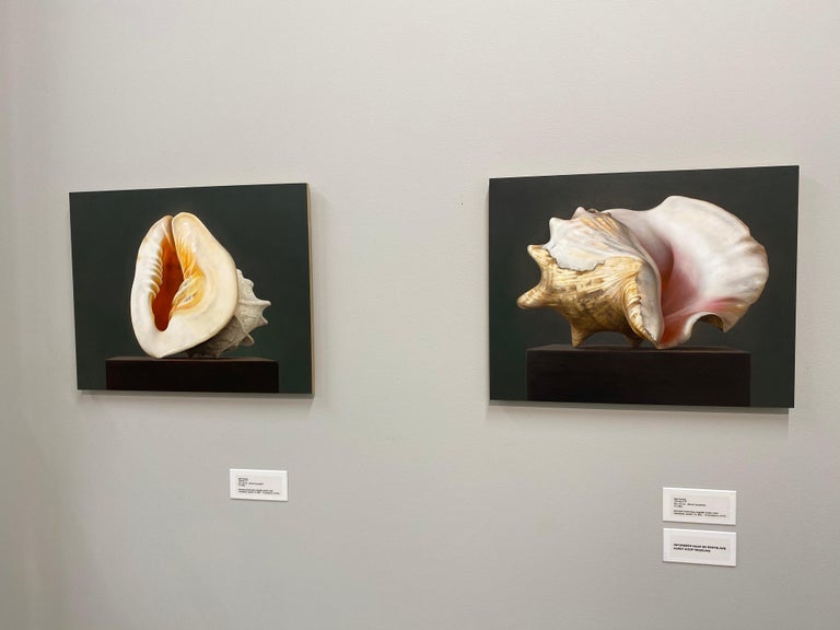 Bart Koning - Shell (3) - 21st Century Hyper Realistic Still-life ...