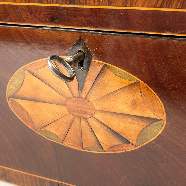 Beautiful Box with Elegant Marquetry Inlays from the Early 19th Century ...