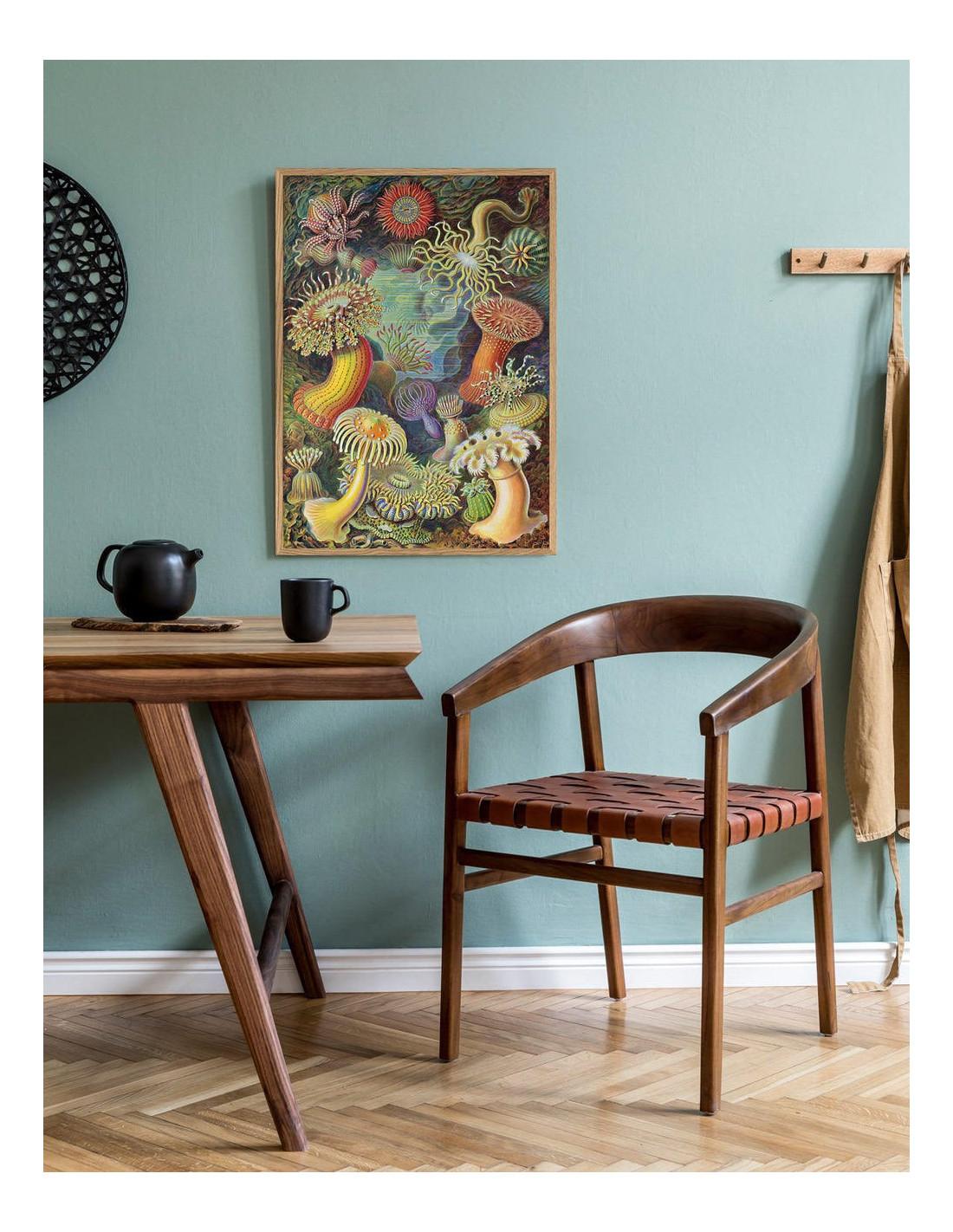 Beautiful Drawing Print of "Actiniae" For Sale at 1stDibs