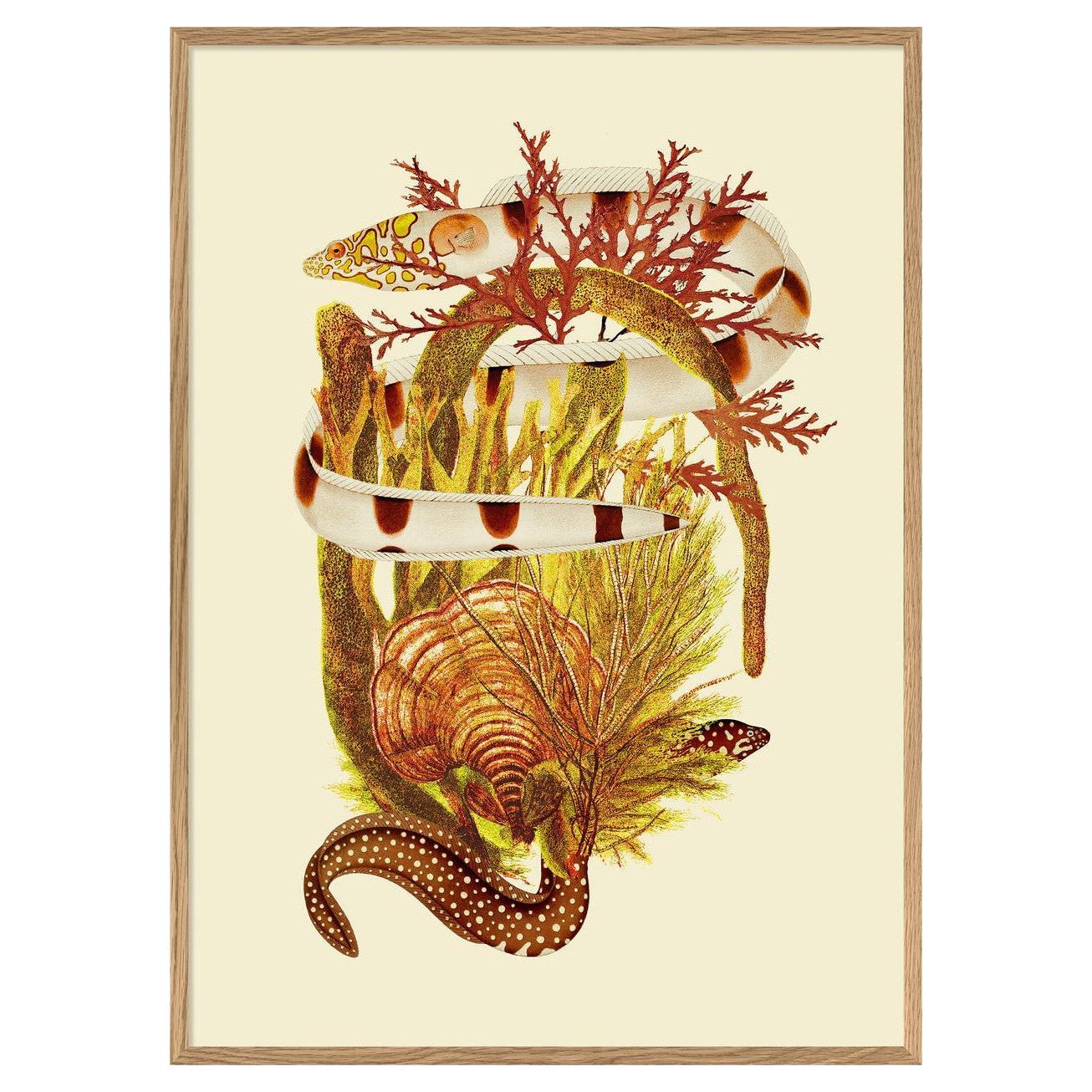 Beautiful Drawing Print of "under the Seas" For Sale at 1stDibs