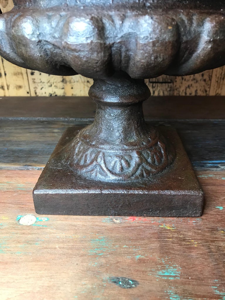 Beautiful French Antique Cast Iron Jardinière at 1stDibs