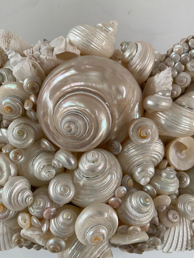 Beautiful Handmade Shell Encrusted Jewelry Box For Sale at 1stDibs