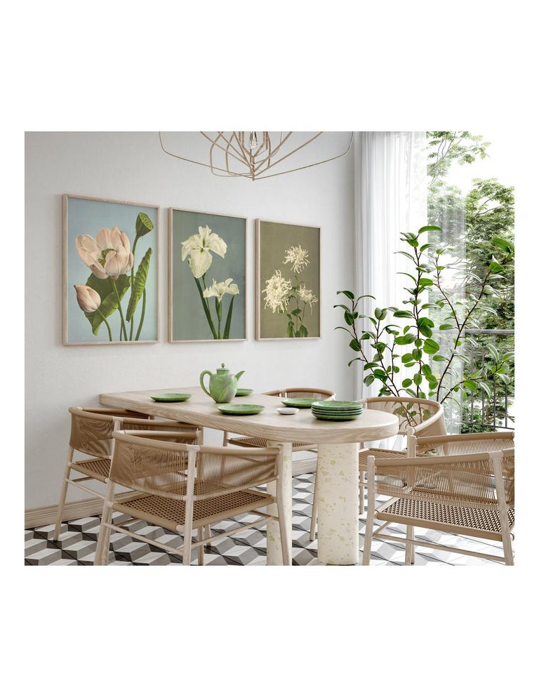 Beautiful Japanese Archival Ink Photo Print, "Iris" For Sale at 1stDibs