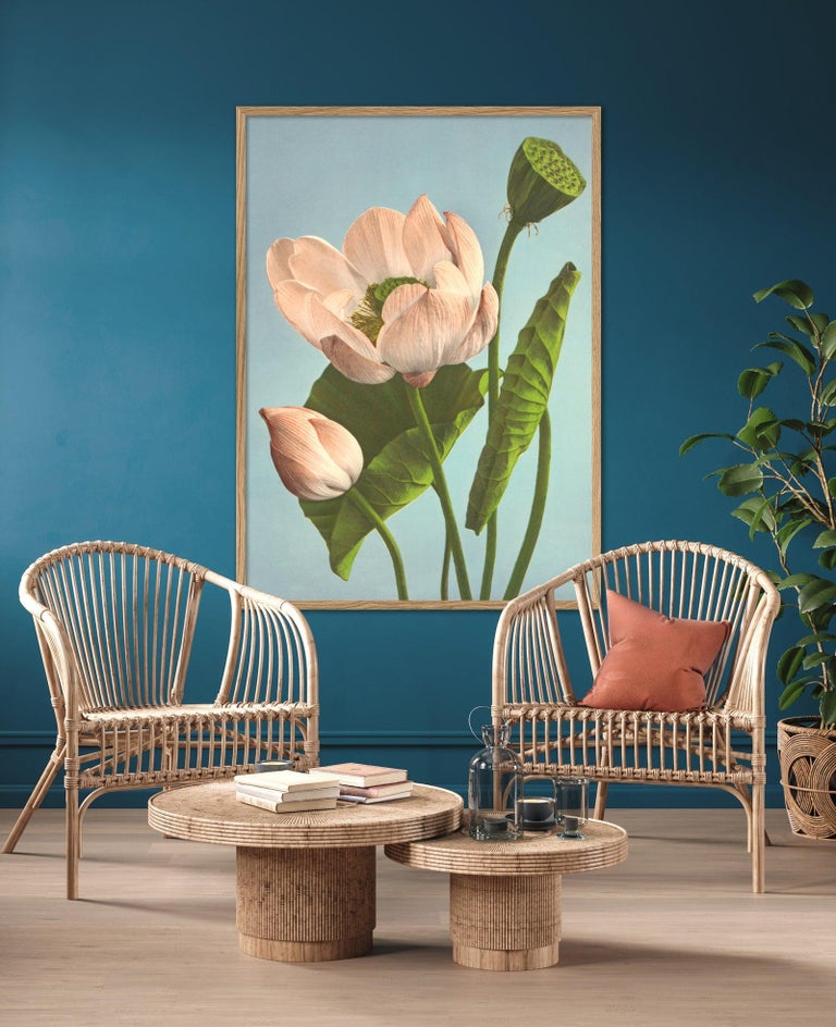 Beautiful Japanese Archival Ink Photo Print, "Lotus" For Sale at 1stDibs